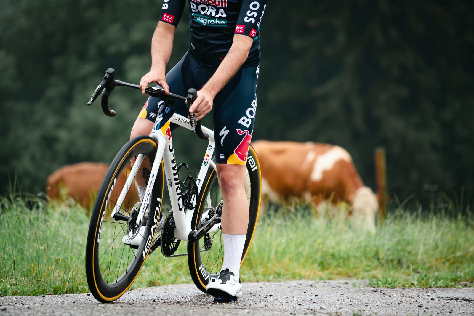 Lancement du S-Works Tarmac SL8 LTD Red Bull BORA Hansgrohe Edition ...