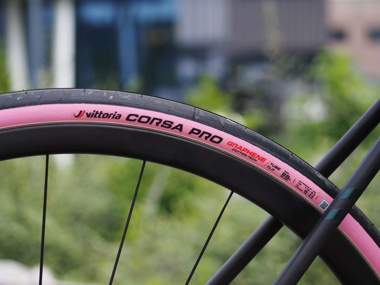 Une dition Pink Du Vittoria Corsa Pro Pour Le Giro Matos V lo Une dition Pink Du Vittoria Corsa Pro Pour Le Giro Matos V lo